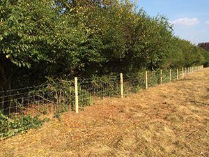 Choosing The Best Fencing For Your Horses: A Guide To Safety ...